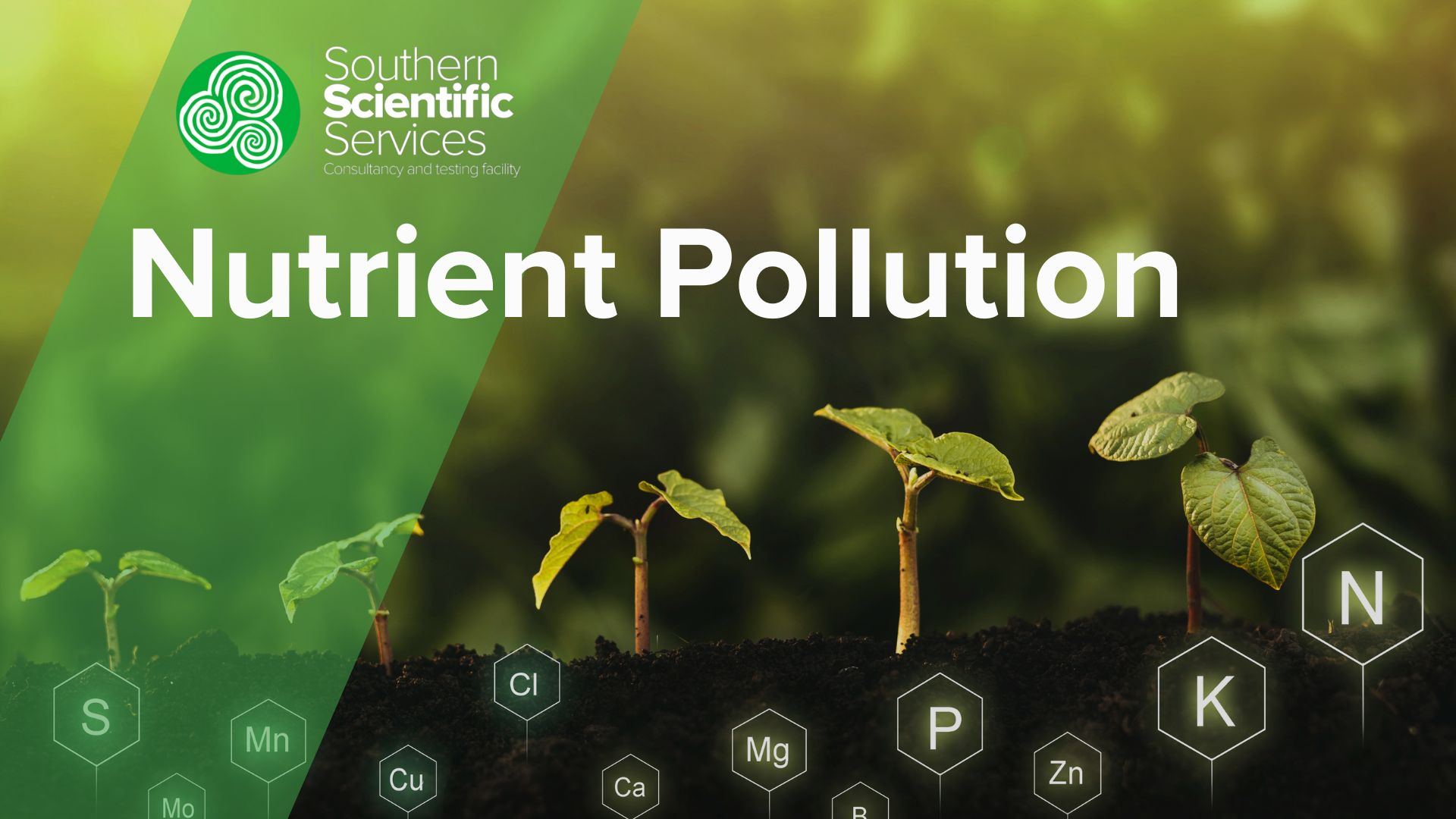 Nutrient Pollution in Ireland: Causes, Impacts, and Solutions ...