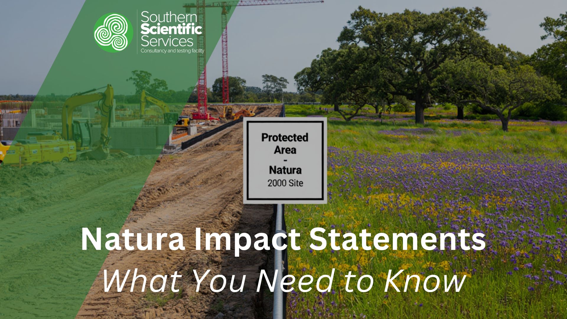 An Easy Guide to Natura Impact Statements in Ireland | Southern ...